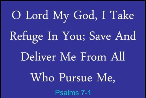 Psalm 7 - biblicalpsalms.com